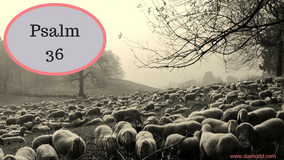 Psalm 36: A Psalm of David ~ Davi Todd
